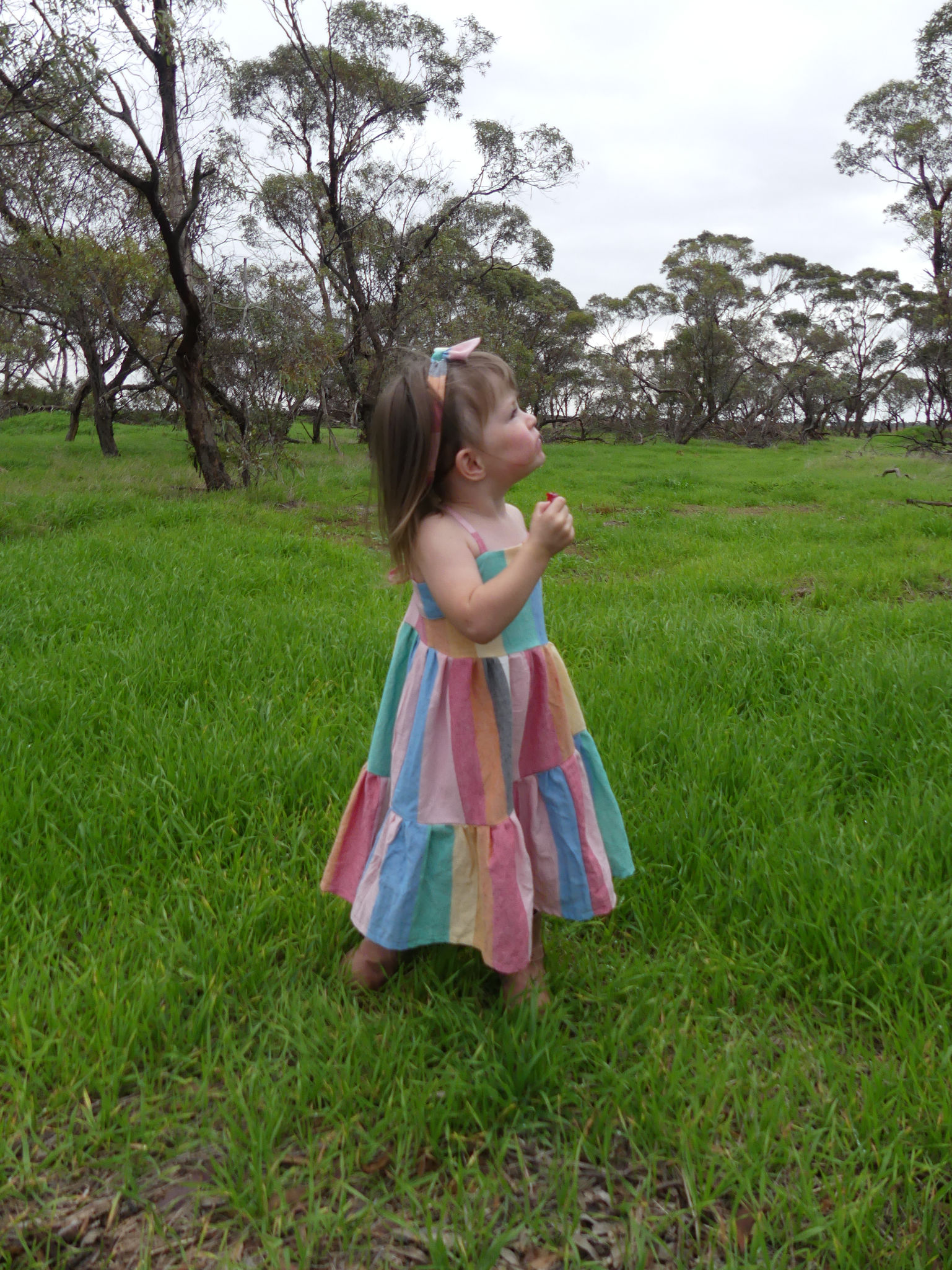 Bramble - Twine Tree Patterns